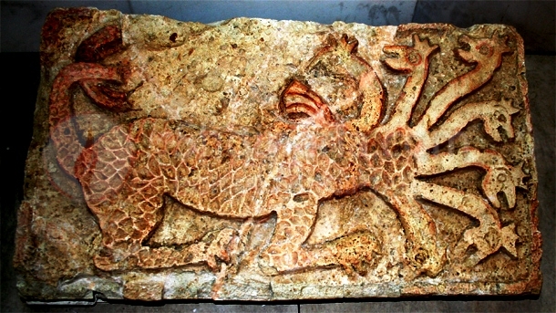 Kucedra me 7 koke – Shqiperia.com