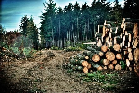 pyje – Shqiperia.com