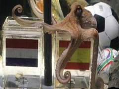 Oktapodi Paul Spanja kampione